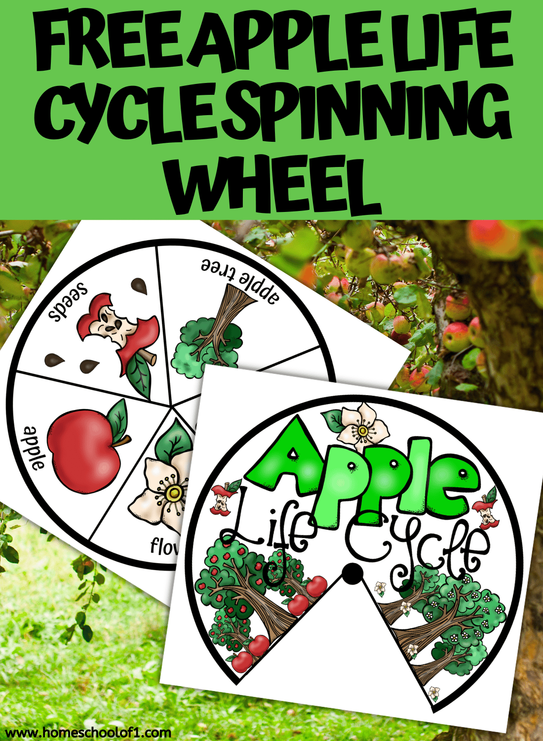 Get the free apple life cycle spinning wheel here!
