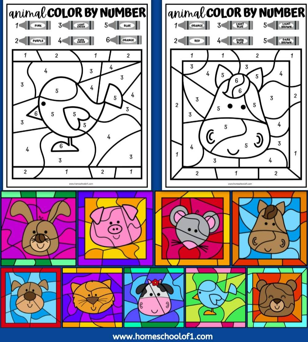 Get the free birds color by number worksheets here!