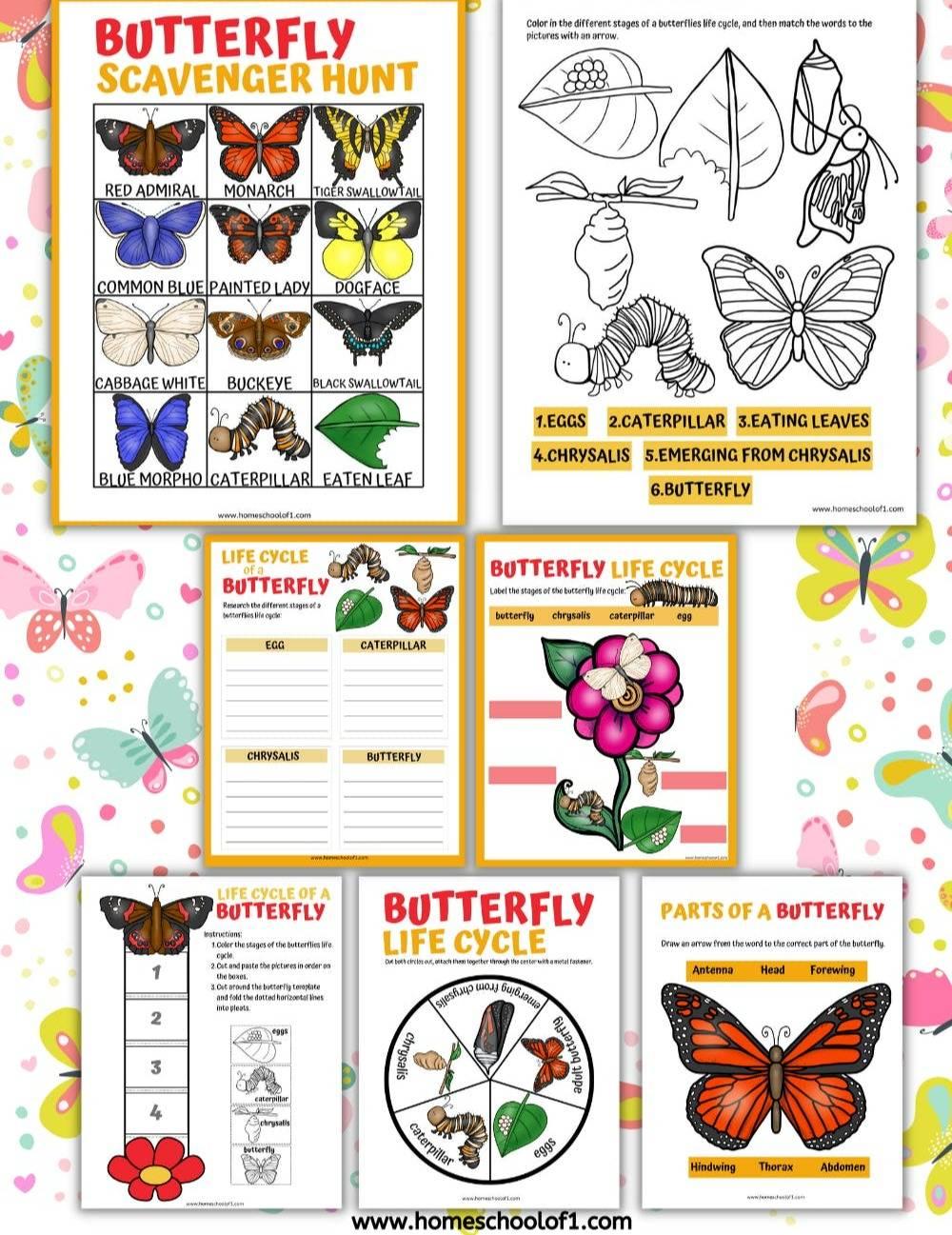 Get your free life cycle of a butterfly worksheets here!