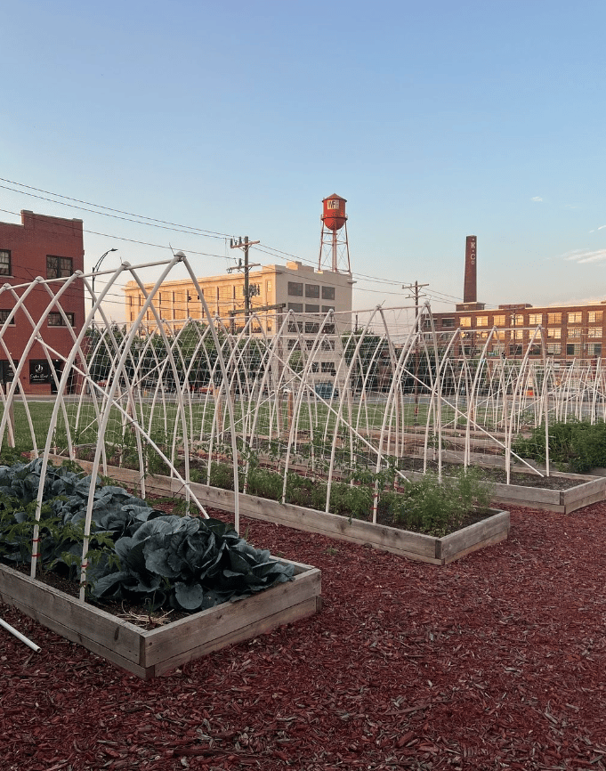 What's happening in Winston! (7/4/24)