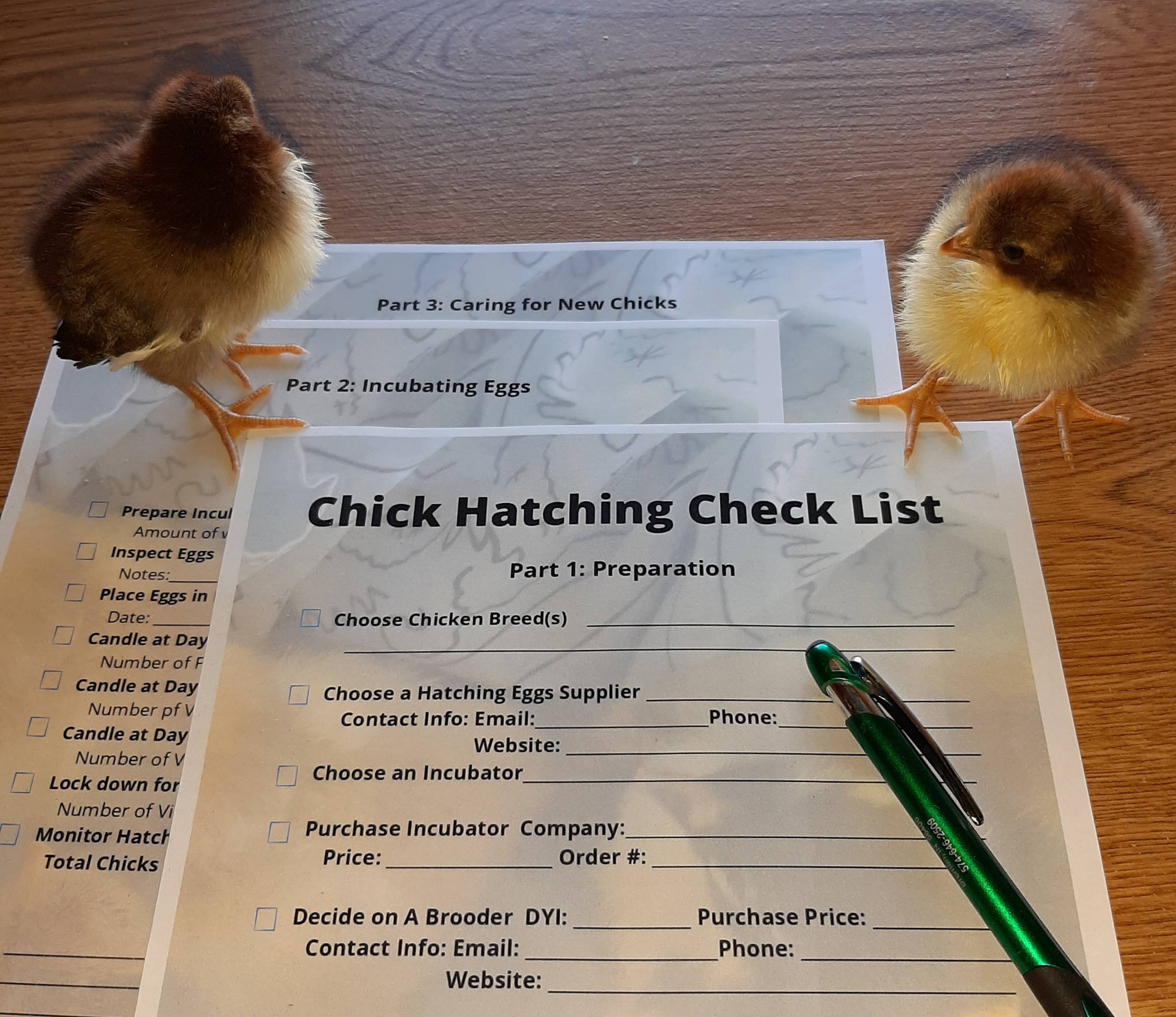 FREE Chick Hatching Check List