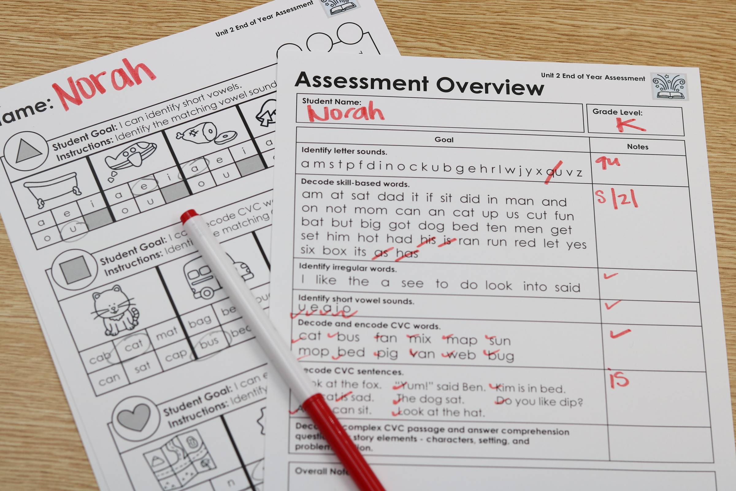 End of Year Phonics Assessments