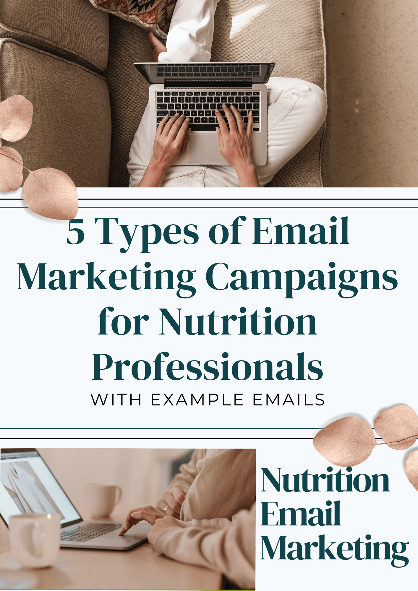 5 Types Of Email Marketing Campaigns For Nutrition Professionals (With ...