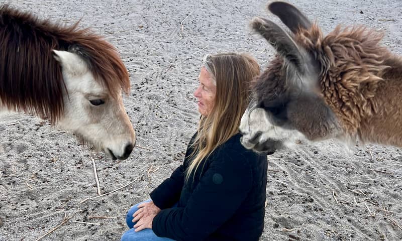 Jingle and Mingle 2024