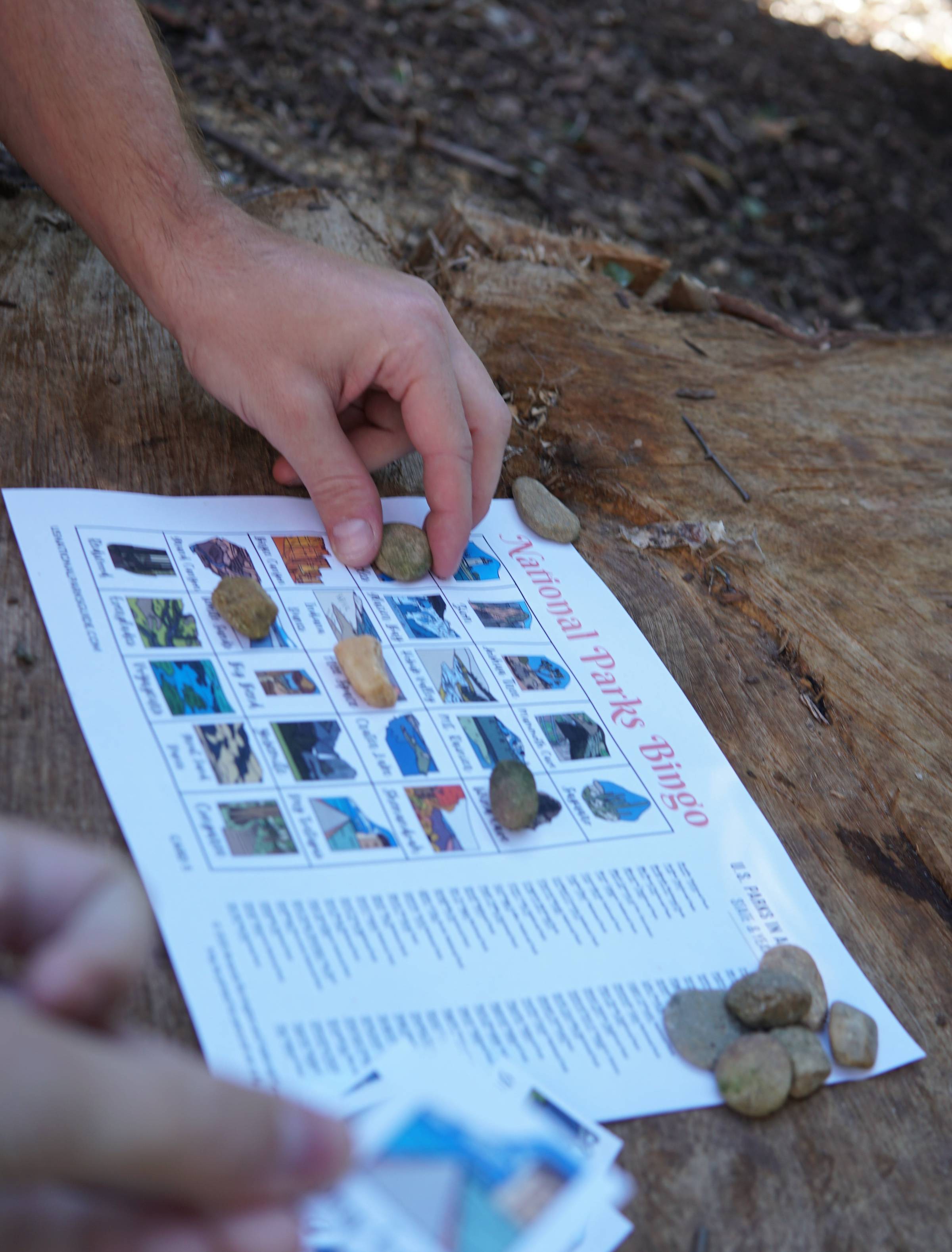 National Parks Bingo Set Printable