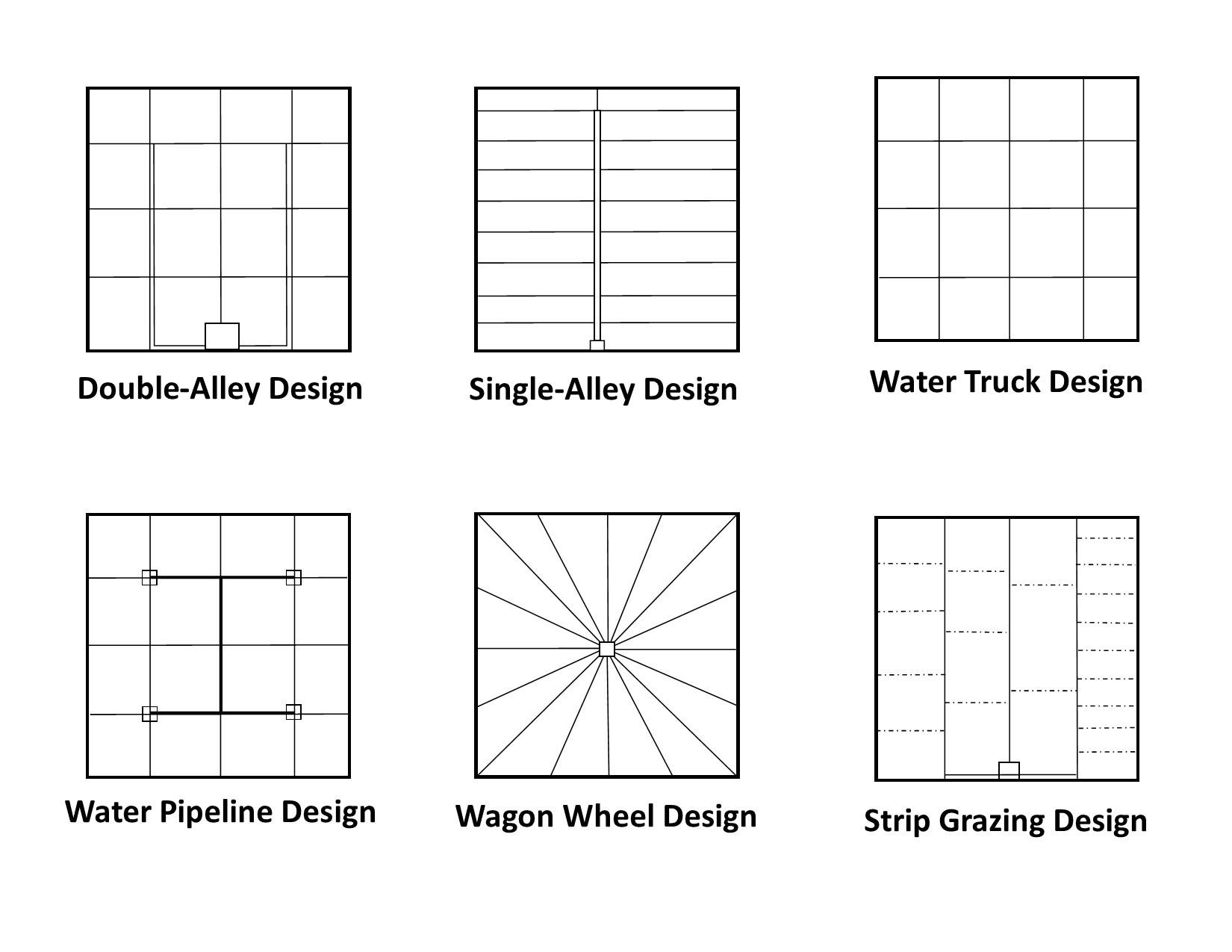 Human Creativity: Tool #3 | Regenerative Grazing Series | Managing ...