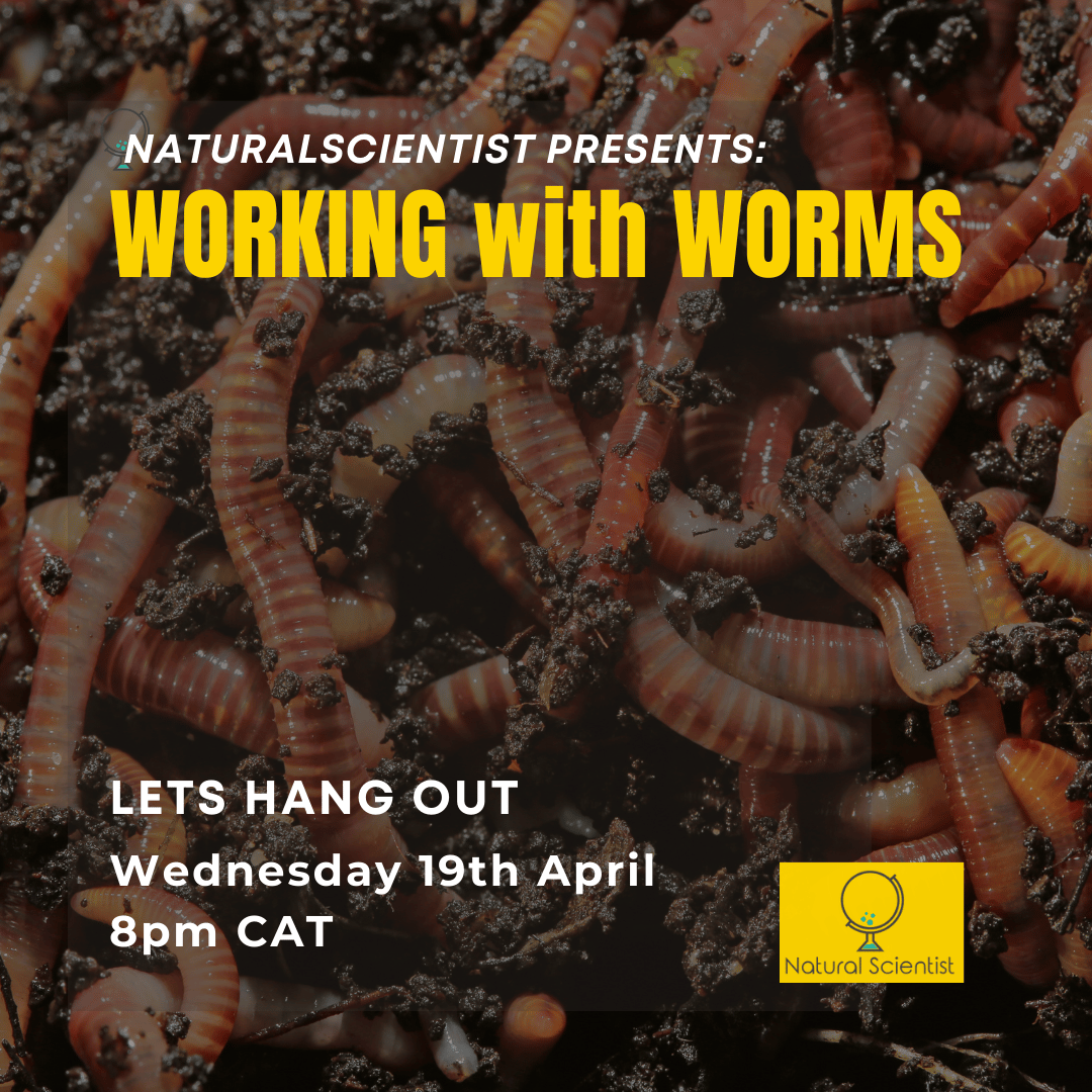 Working with worms sign up page