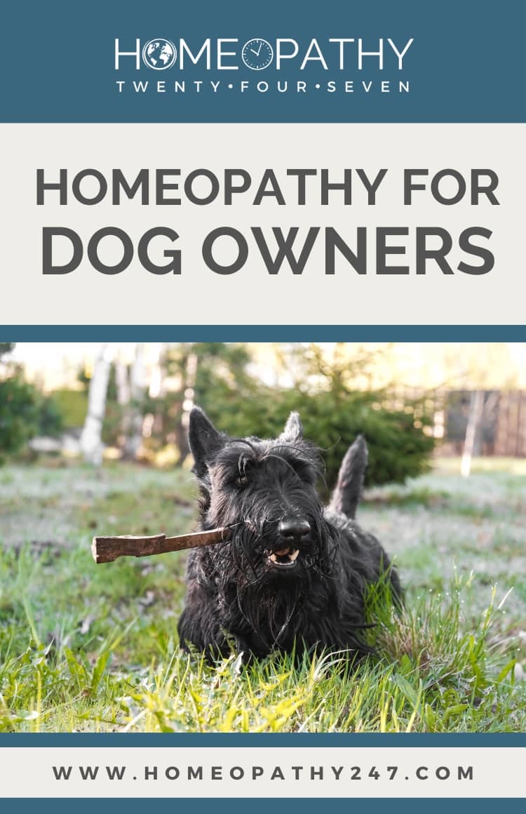 Homeopathy for Dog Owners