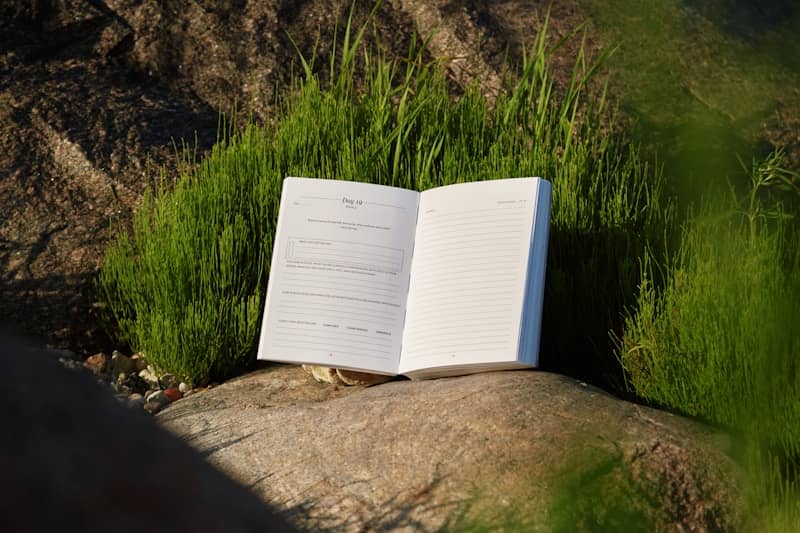 Circle Time Journal Waitlist