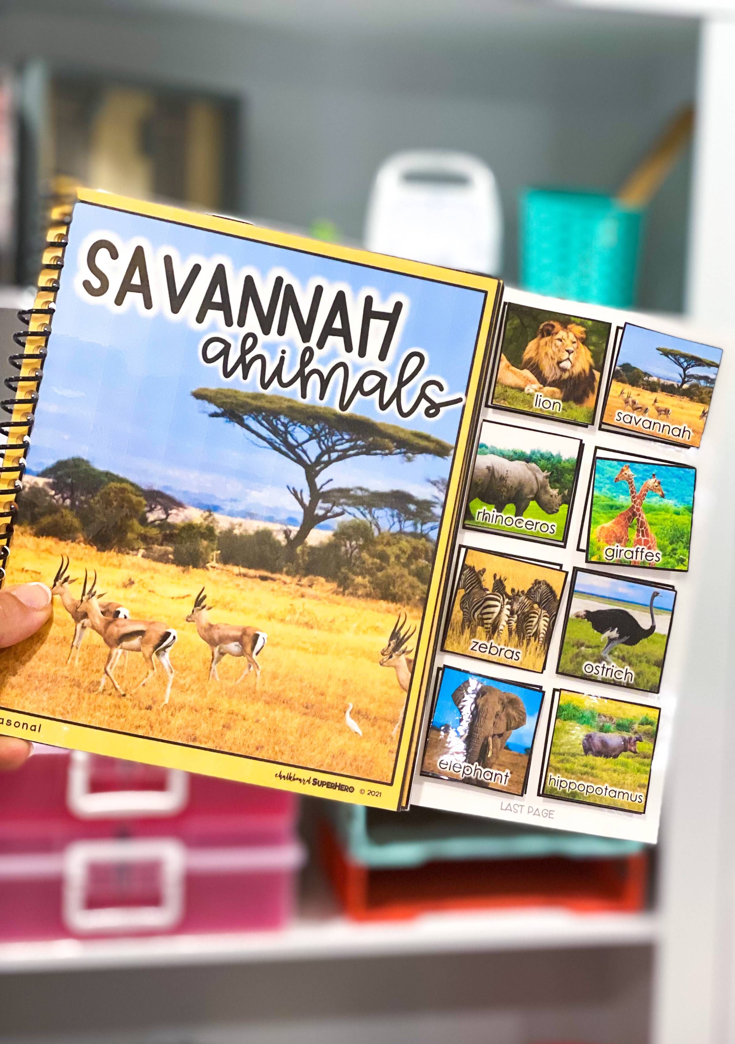 FREE Adapted Book Unit: Savannah Animals