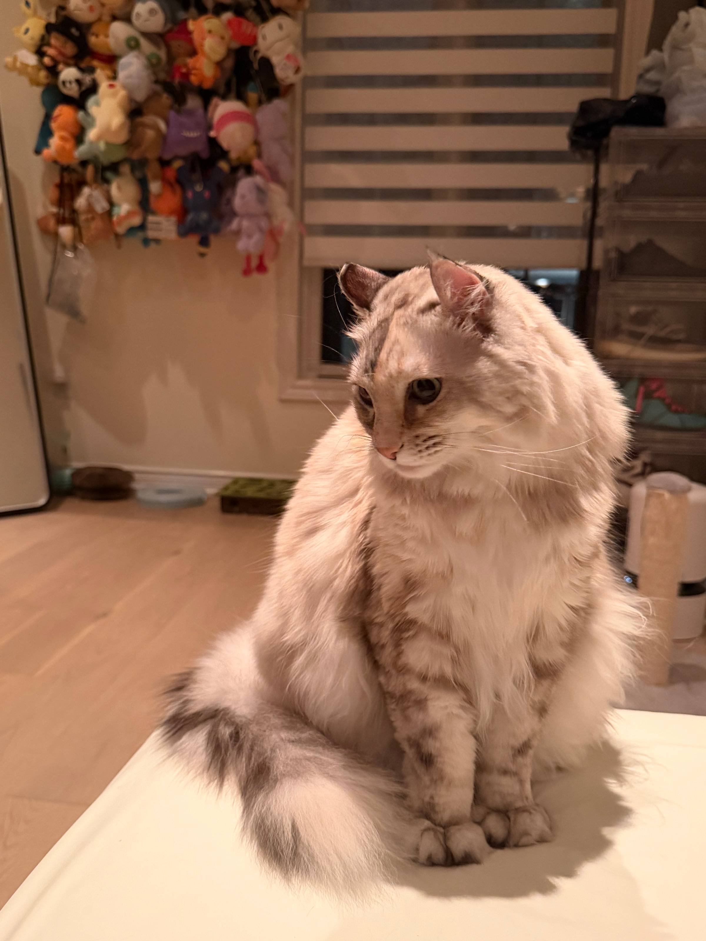 year end update—hello, farewell, see you again – AI JIANG