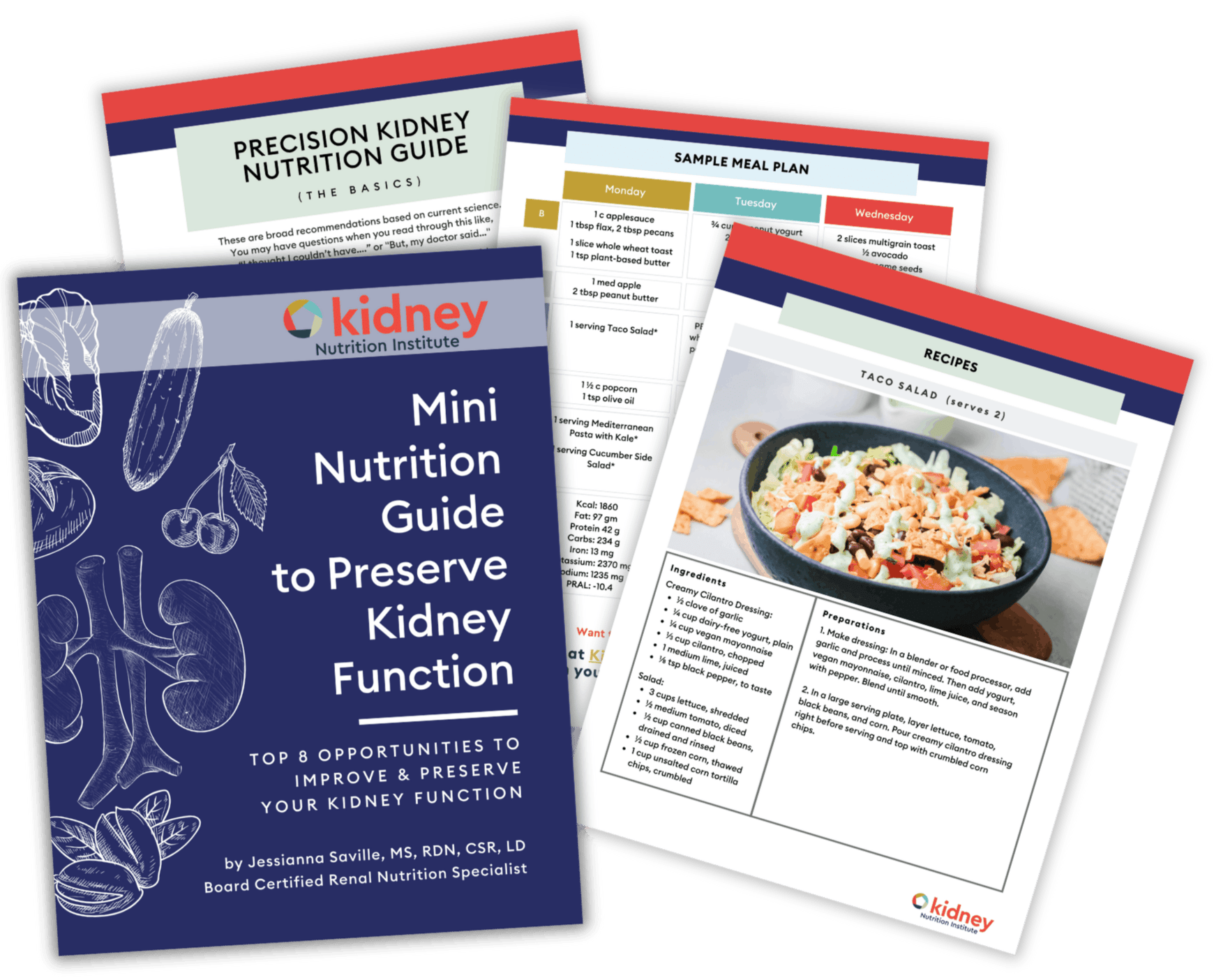 Get Your CKD Mini Nutrition Guide + Kidney Friendly Recipes!