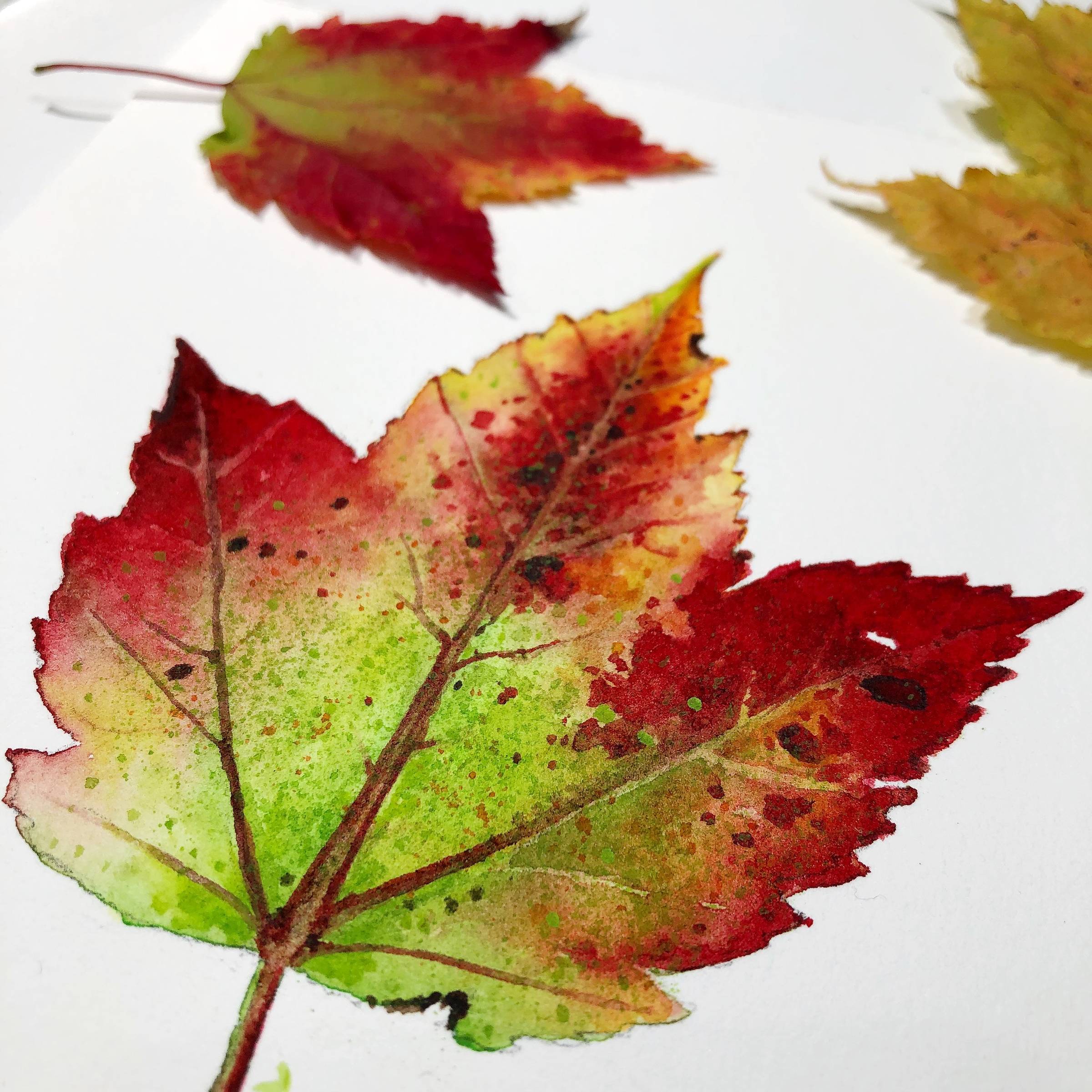 Watercolor Leaf Painting Class