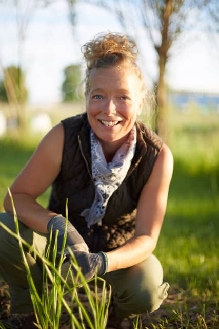 How to Build Fertile Soils Through Winter