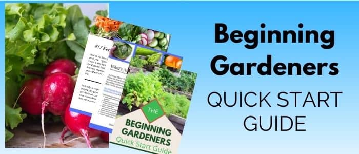 12 Excellent Reasons To Garden - Why Everyone Should Have A Garden ...