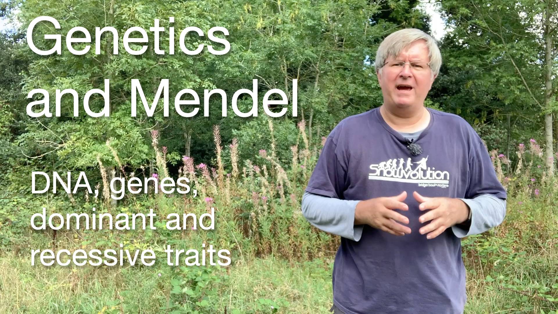 Genetics and Mendel — DNA, genes, dominant and recessive traits