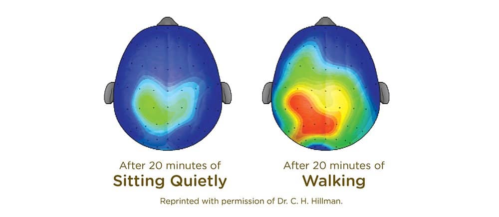 4 Minute Fridays: Supplement for recovery & sleep, brain scans on ...