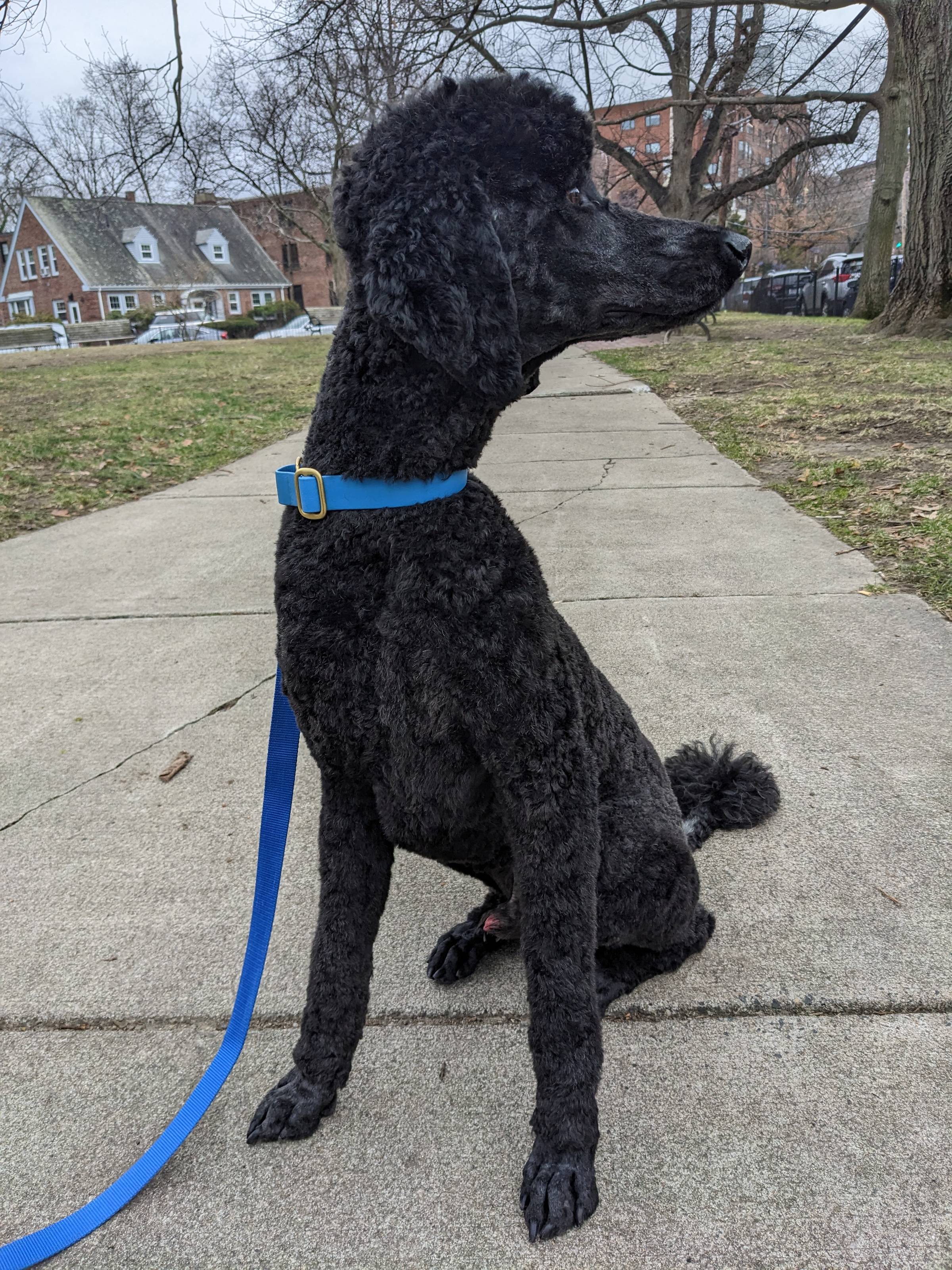 The TL;DR, Exploring Three Frameworks Through Stickers