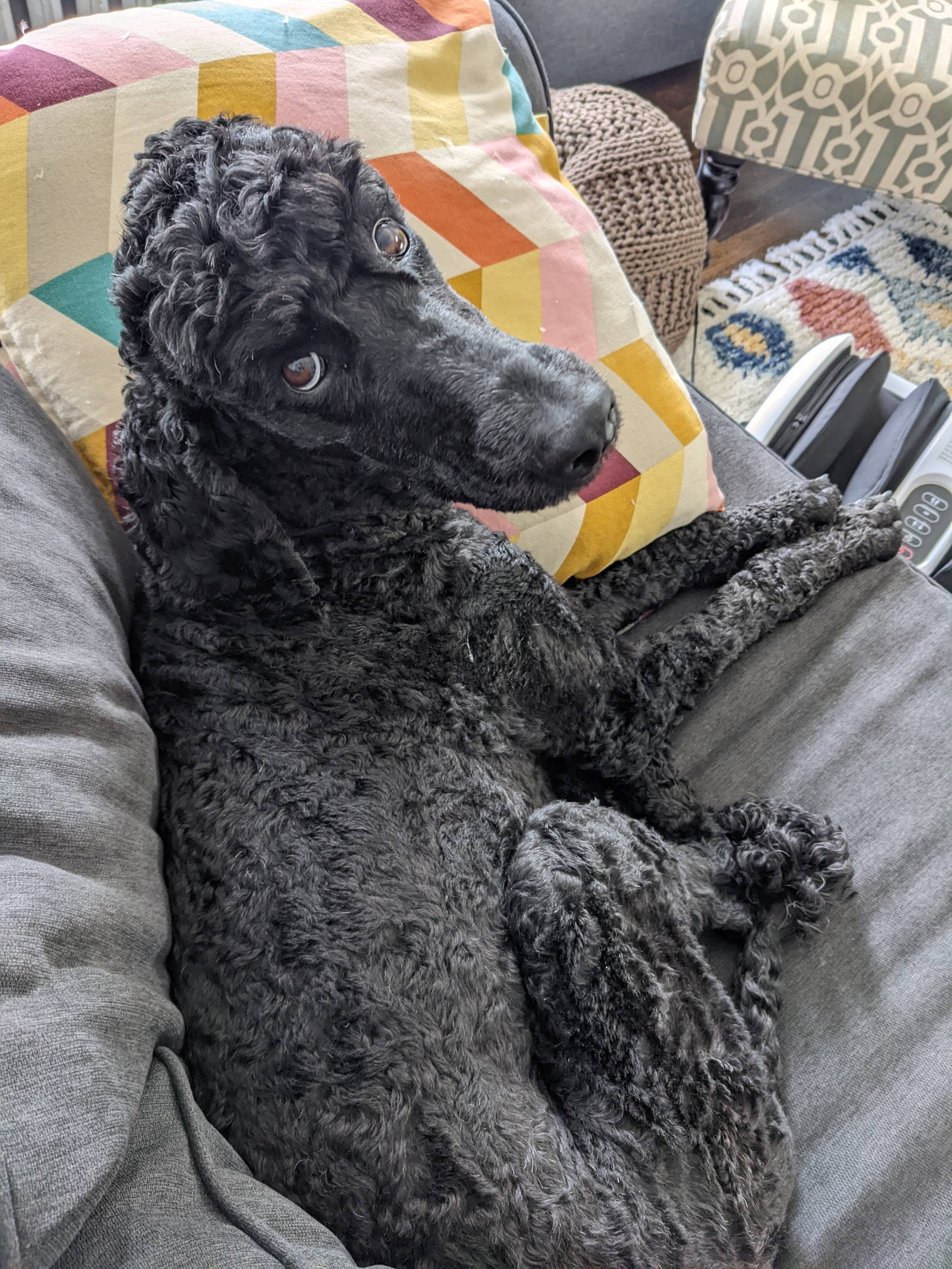 The TL;DR, With 17 Too Many Marketing Strategies