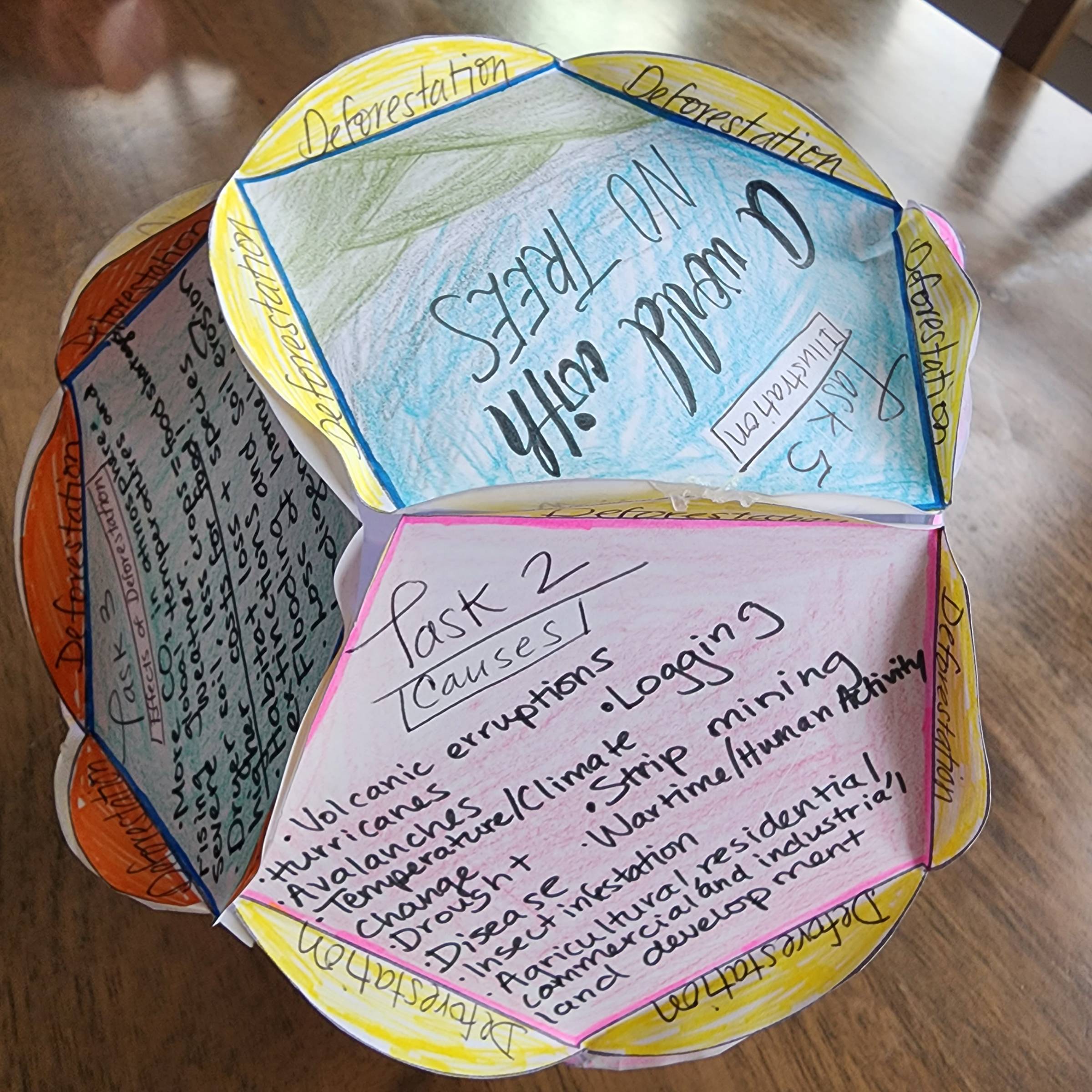 Bloom Ball Projects, ready to go.