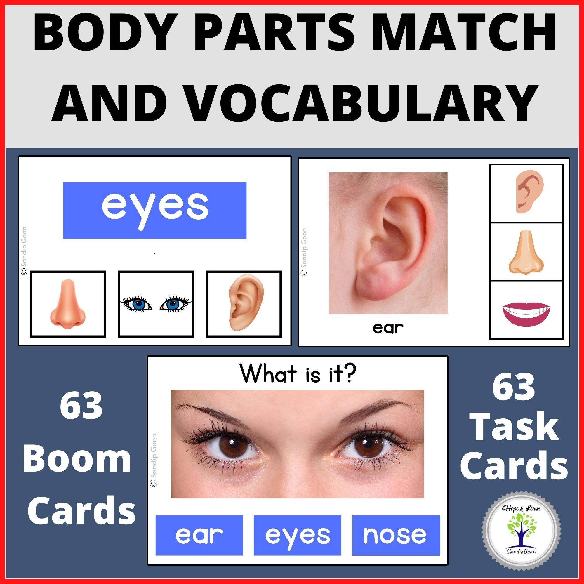 Free Kitchen Vocabulary Flash Cards