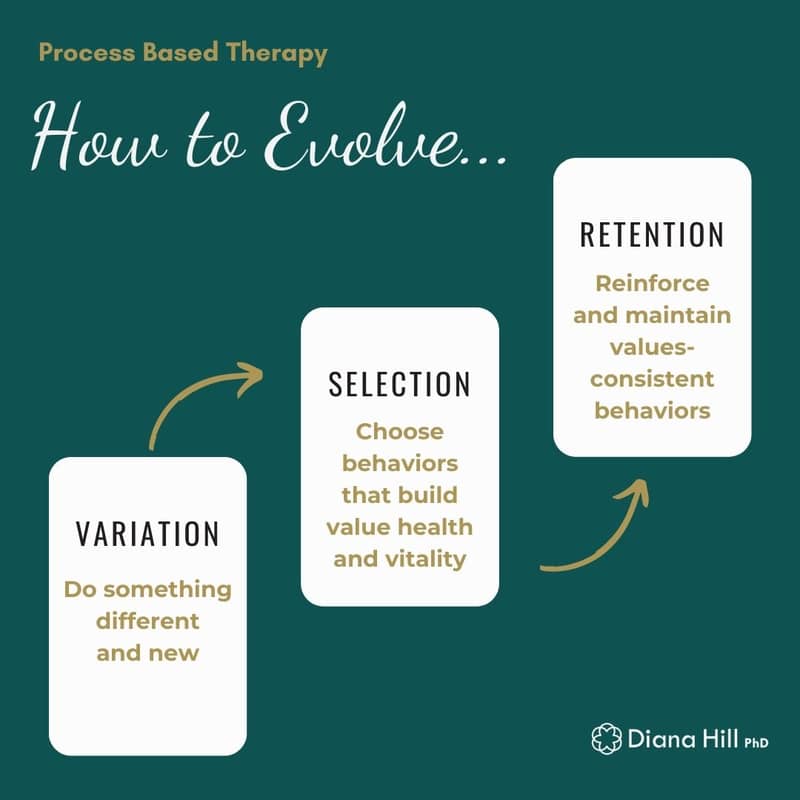 [Wise Effort] Are you stuck in a rut? Here are 3 steps to help you evolve for the better.