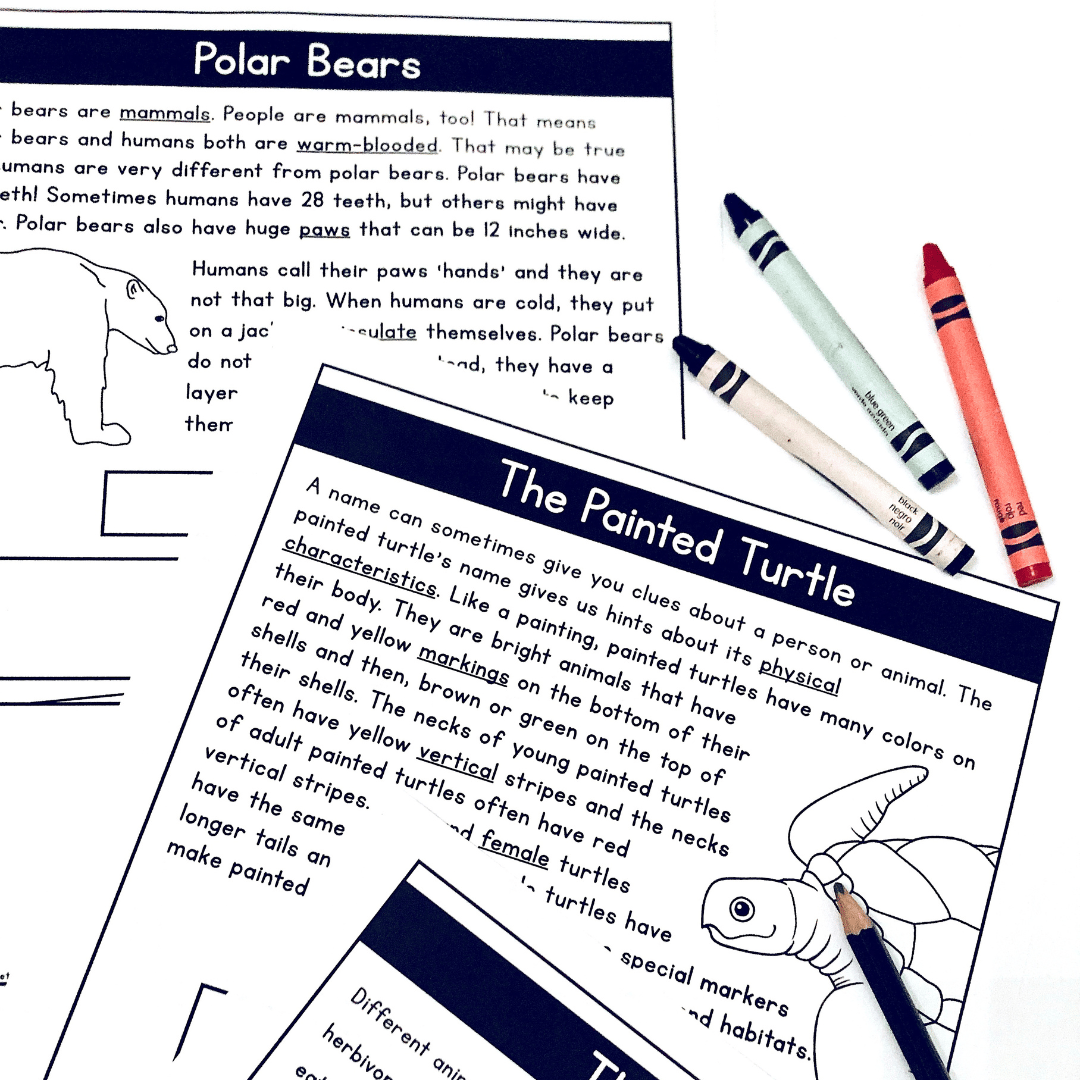 Grab free main idea resources for your students!