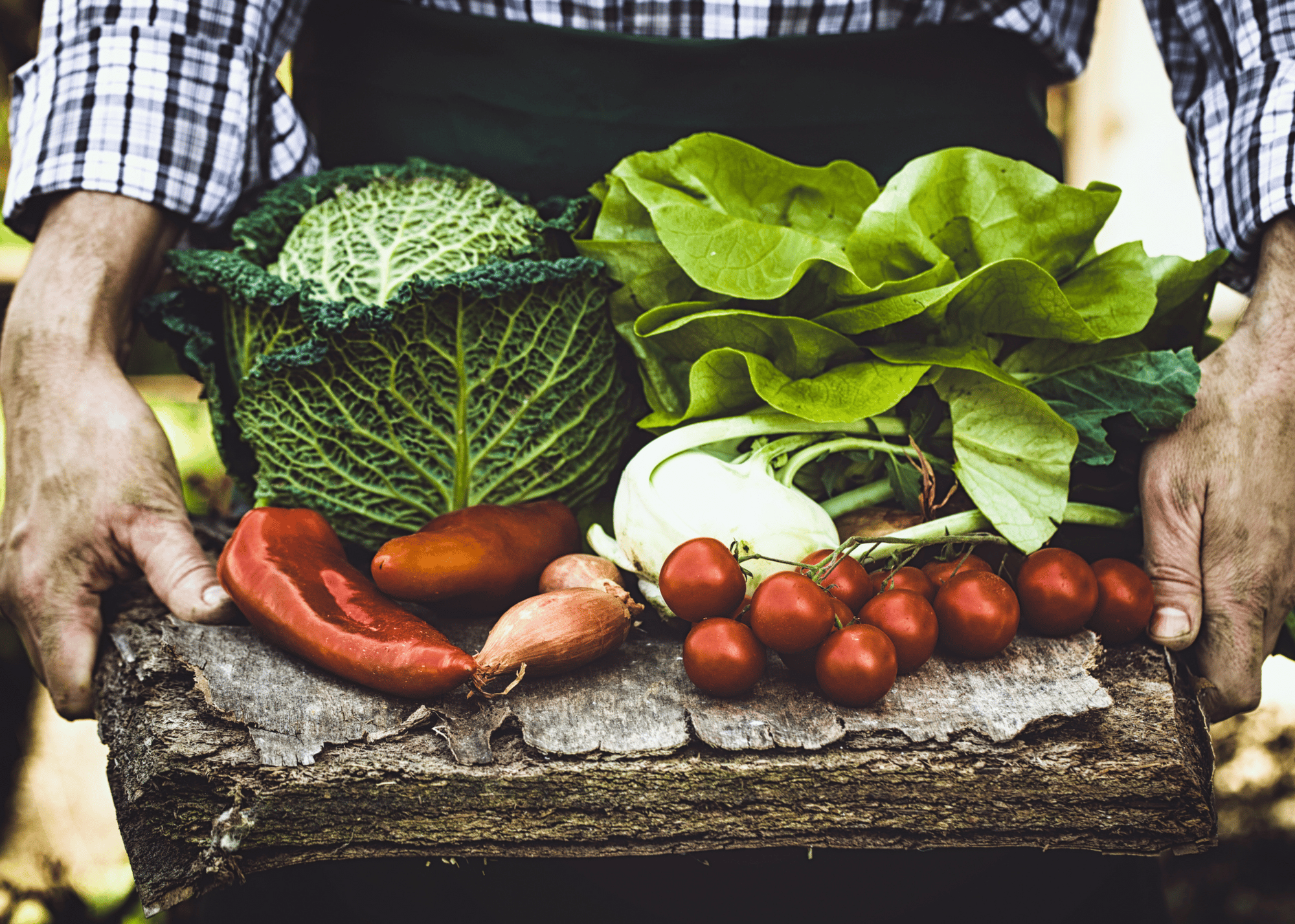 Western Australian grown and made produce and products - The Backyard ...