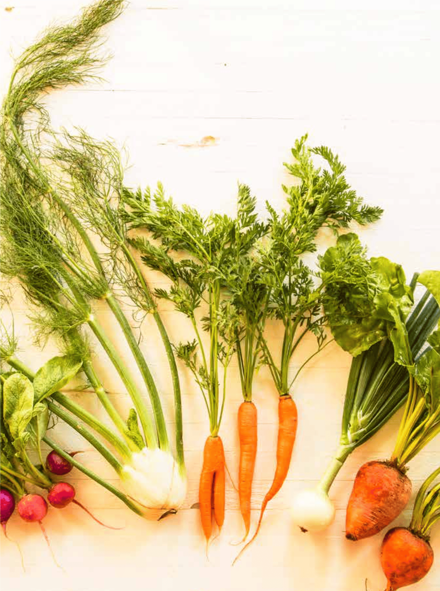 Garden Betty's Edible Plant Parts Guide