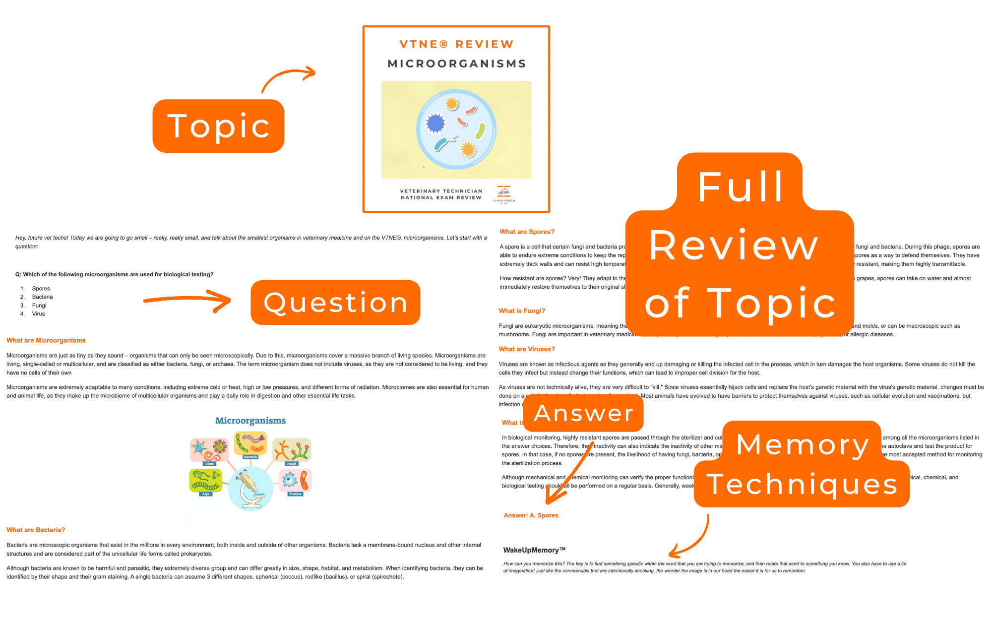 CleverOrcaVT Blog