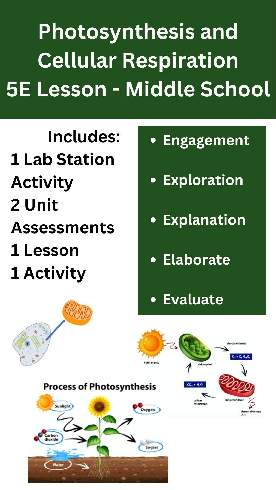 Photosynthesis and Cellular Respiration 5E Lesson Bundle