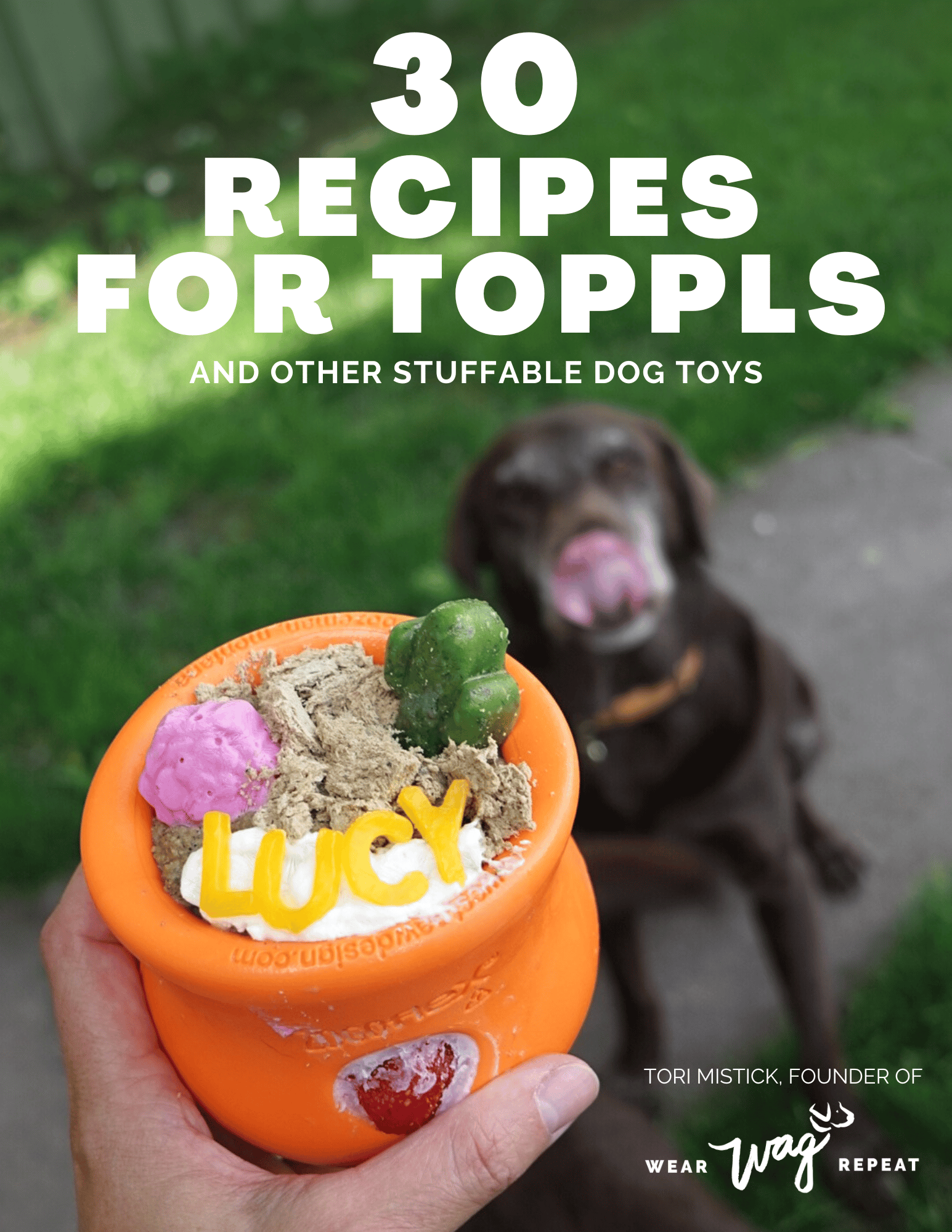 30 Healthy Recipes for the Toppl Treat Toy by West Paw
