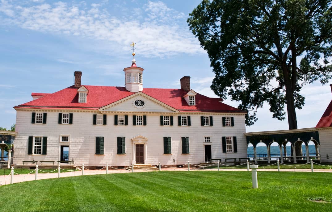 250-year-old cherries found at Mount Vernon