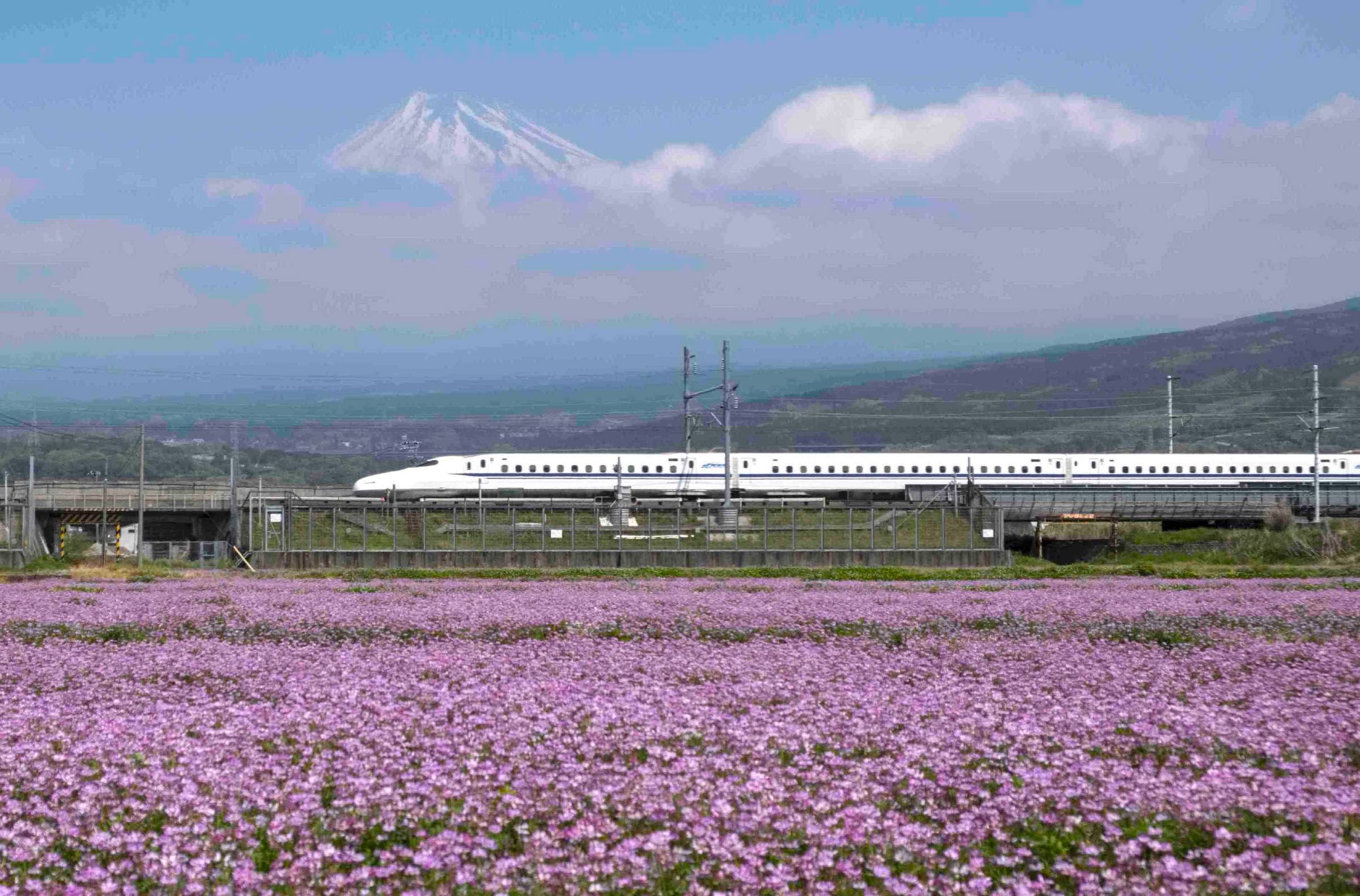 Japan gears up for self-driving trains