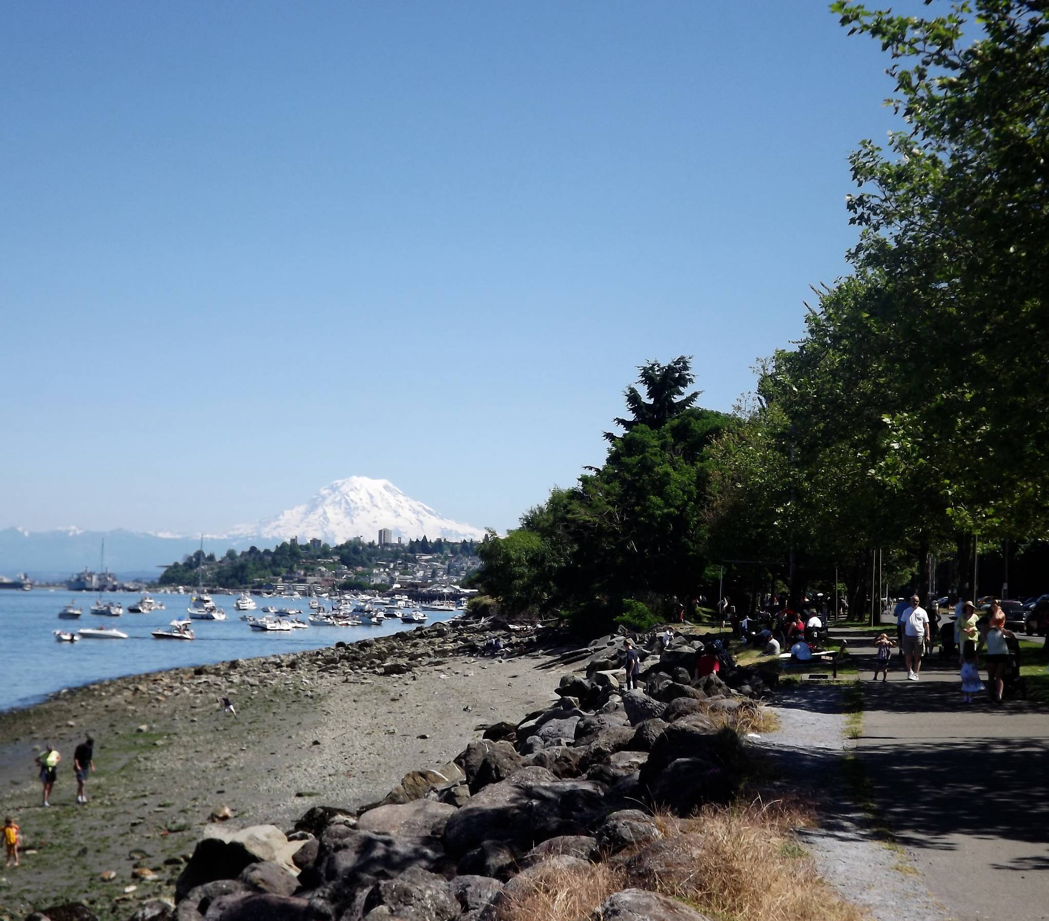 Are soft running surfaces safer? - Nathan Carlson - Running Mate