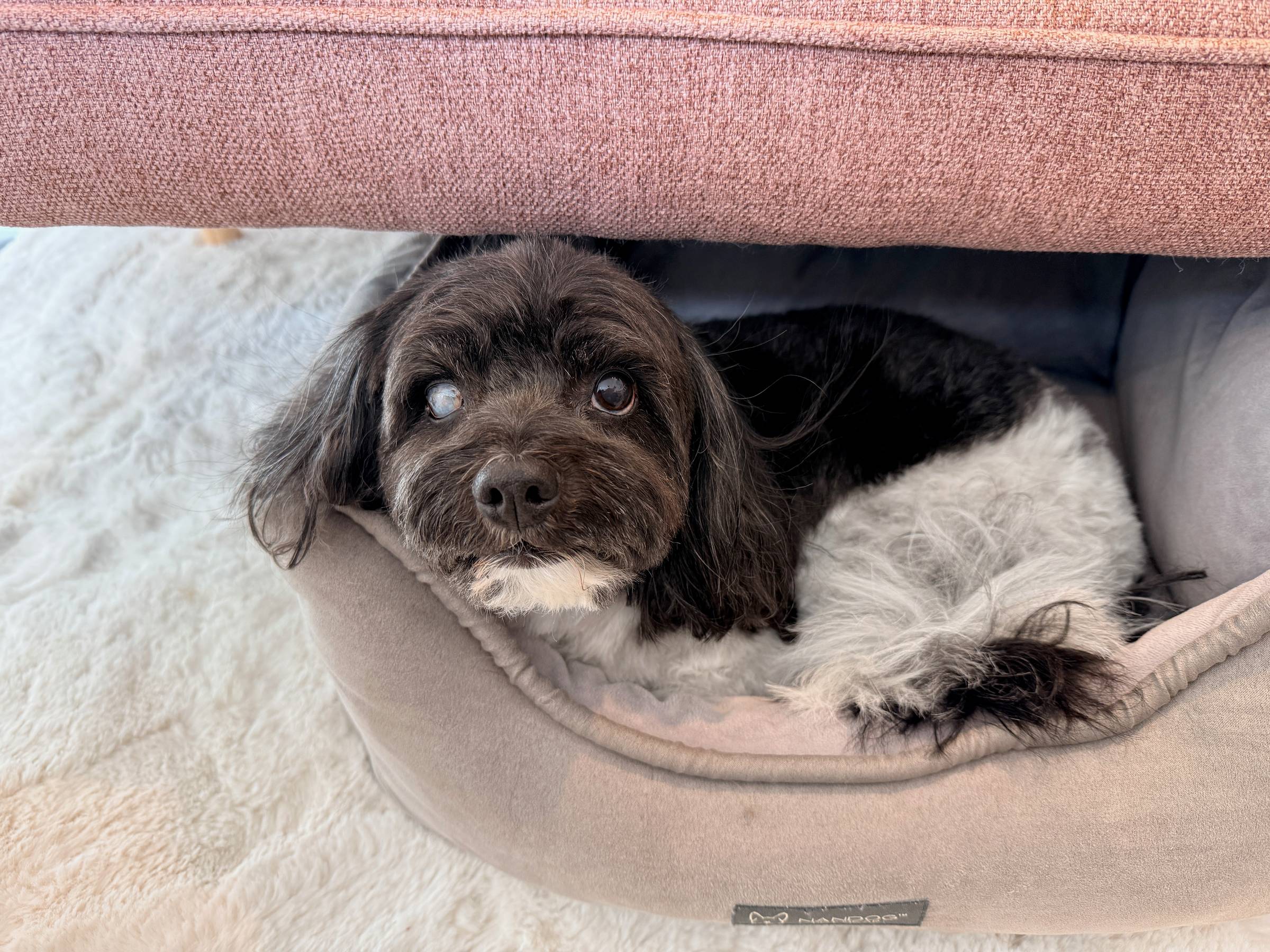 My Top Trick for Writing Every Day - Kelly Notaras