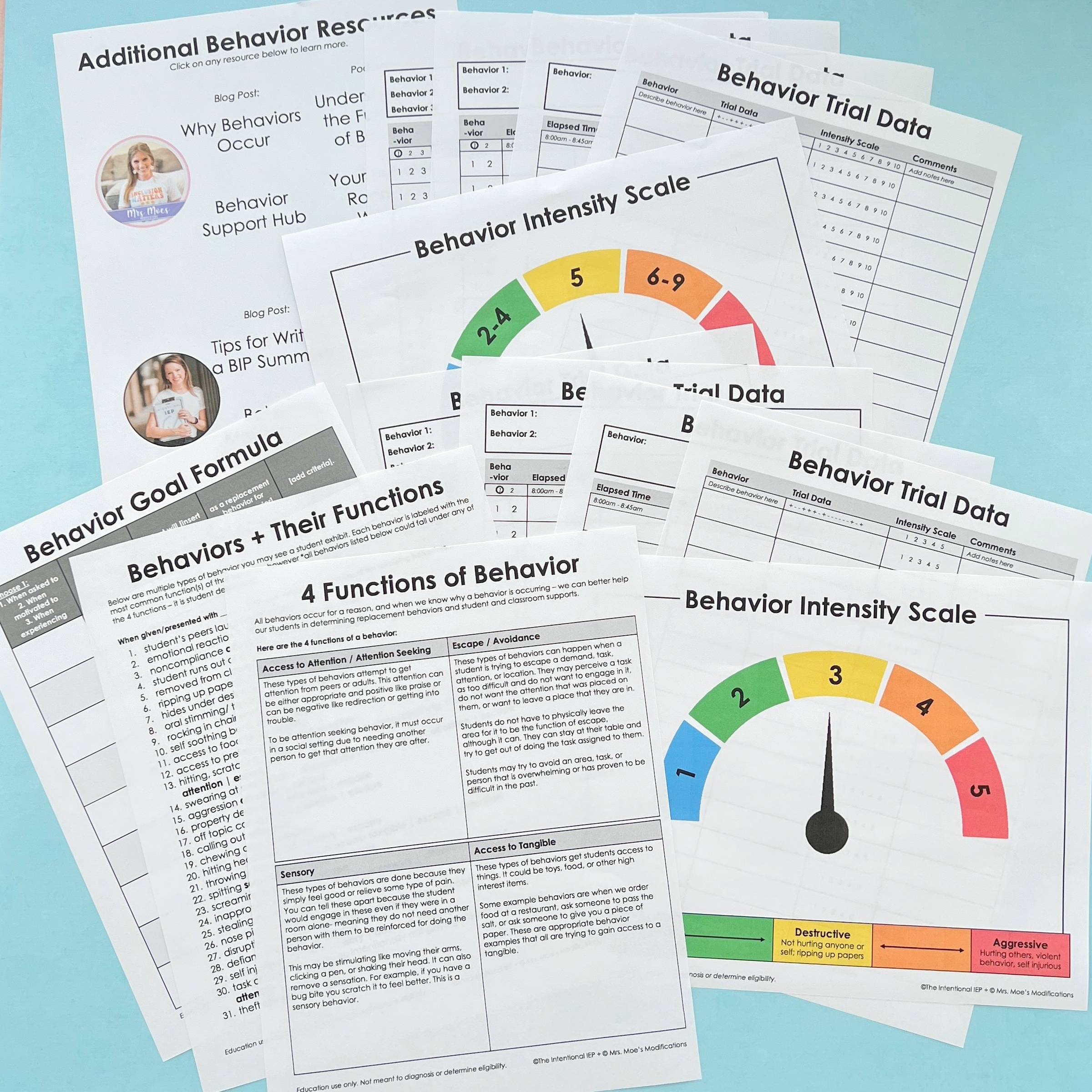 Functions of Behavior LM | ABBY