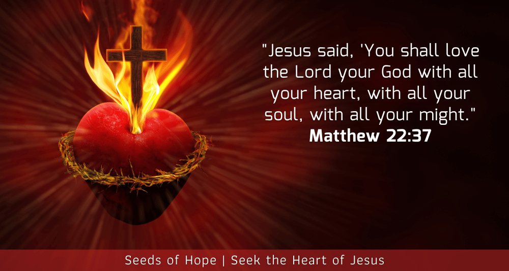 Seeds of Hope, Stories for Lent - Seek the Heart of Jesus