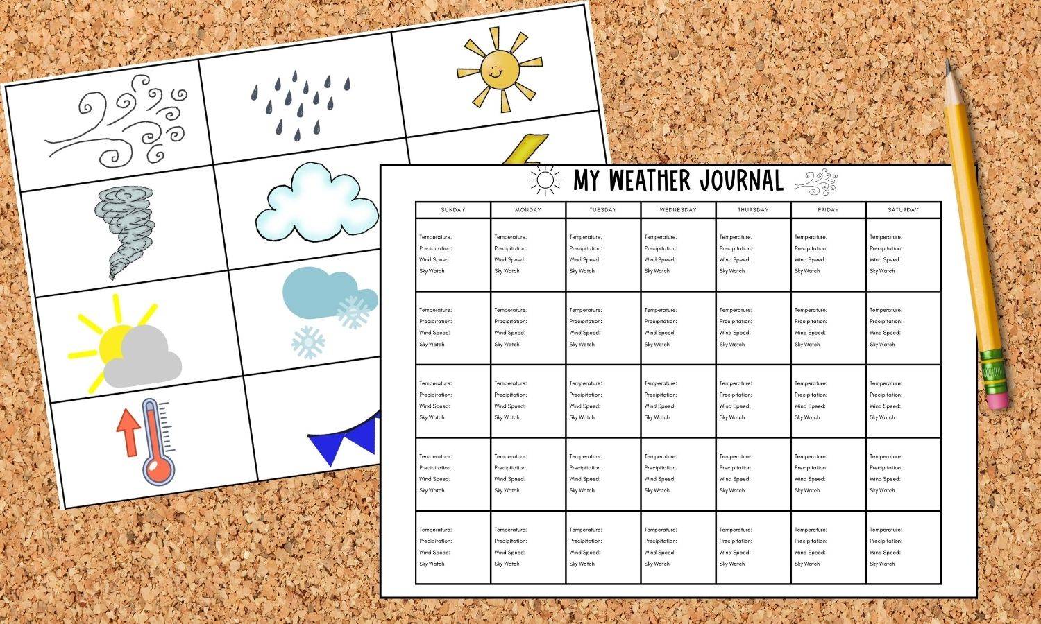 Weather Forecast Activity for Kids