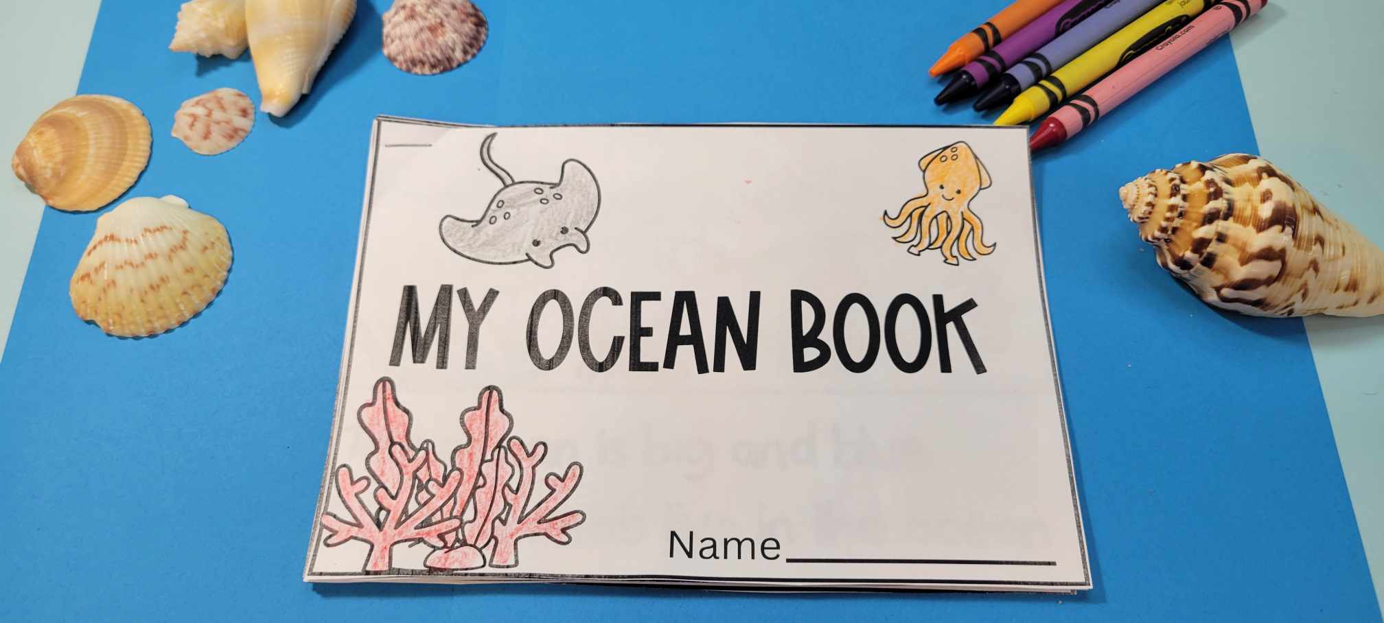 Ocean Mini Book