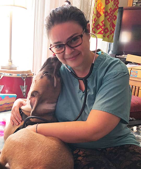 Free business plan for House Call & Mobile Vet Practice