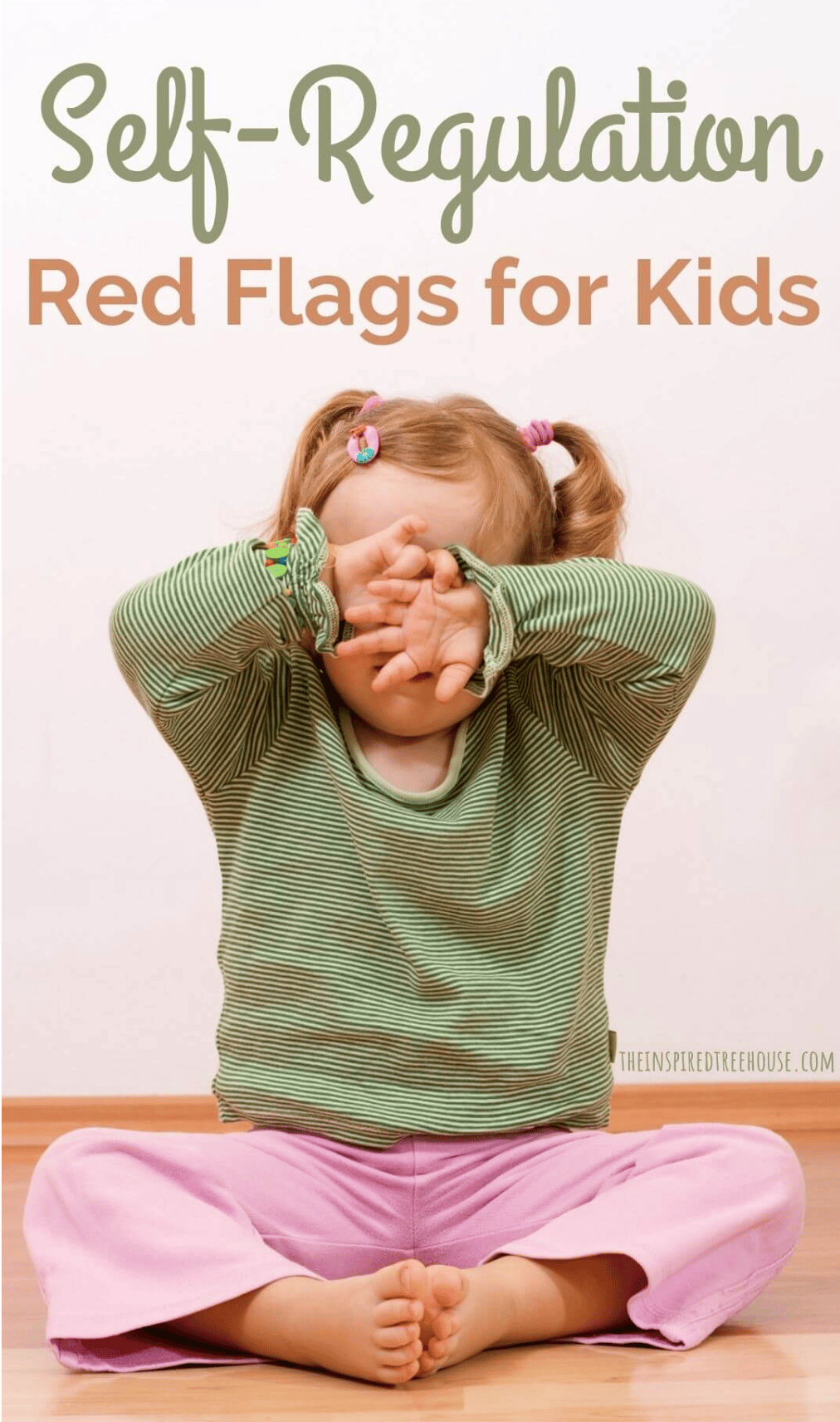 Self Regulation Red Flags