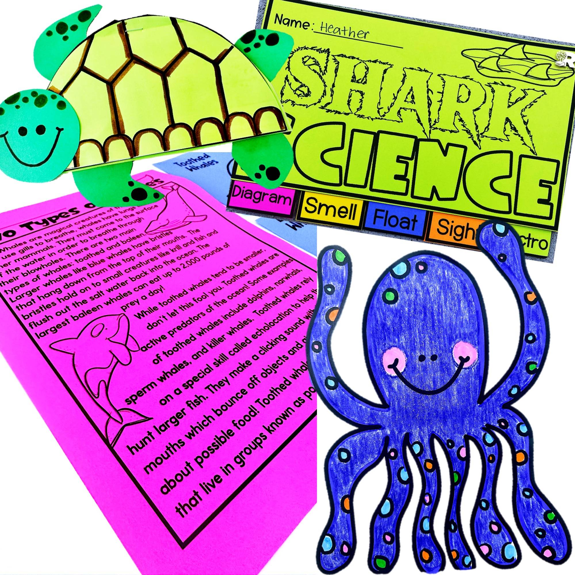 Free Ocean Learning Activities and Picture Book Ideas - Amy Lemons