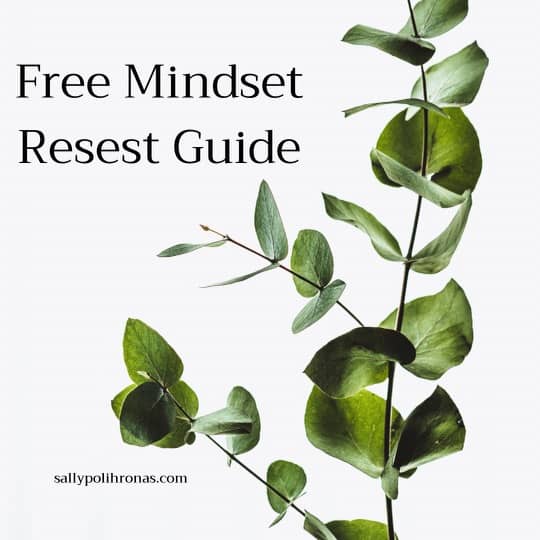 Mindset Reset Guide