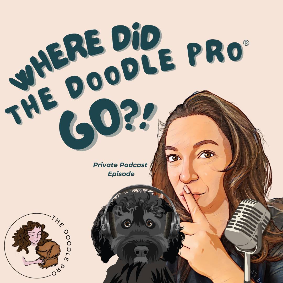 Where Did the Doodle Pro® GO?!