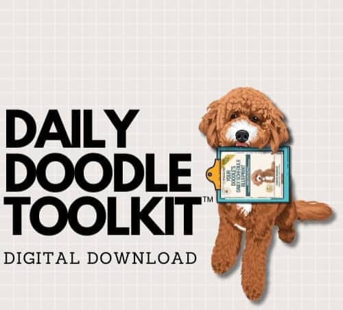 Daily Doodle Toolkit