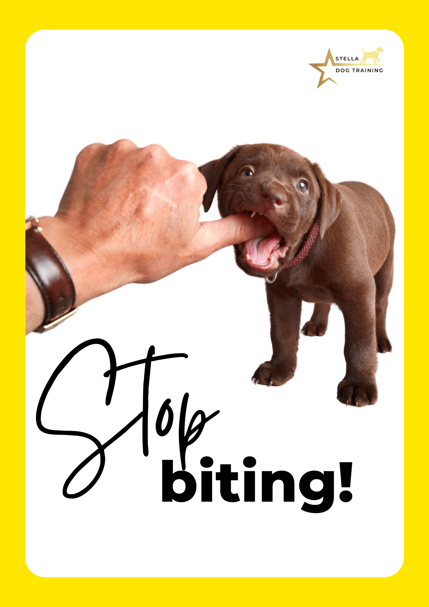 Stop Biting!