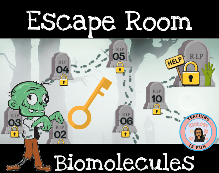 Biomolecules Escape Room