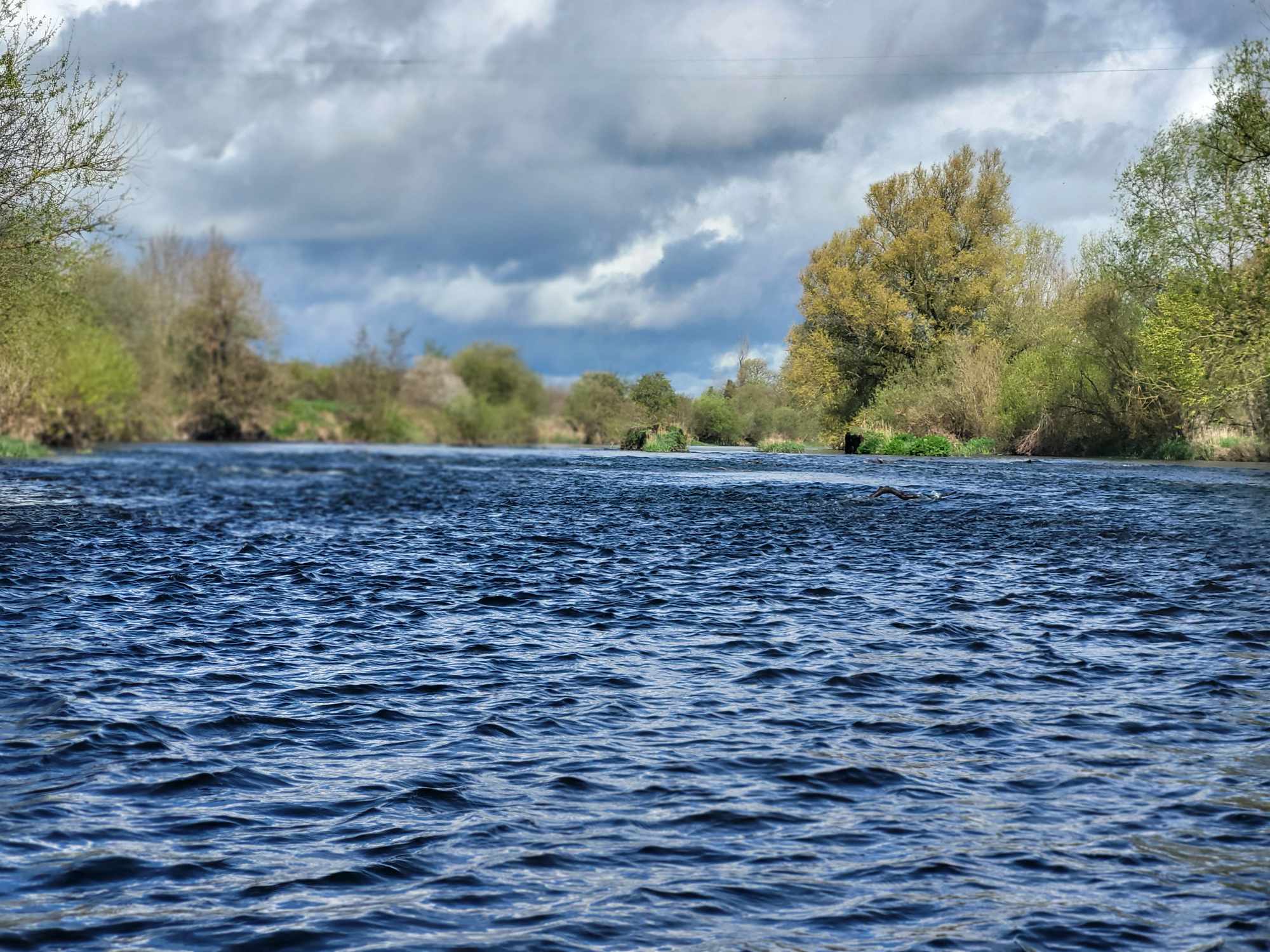Piscari-Fly Newsletter: Nore, Avonmore & Midlands Reports | Fishing in ...