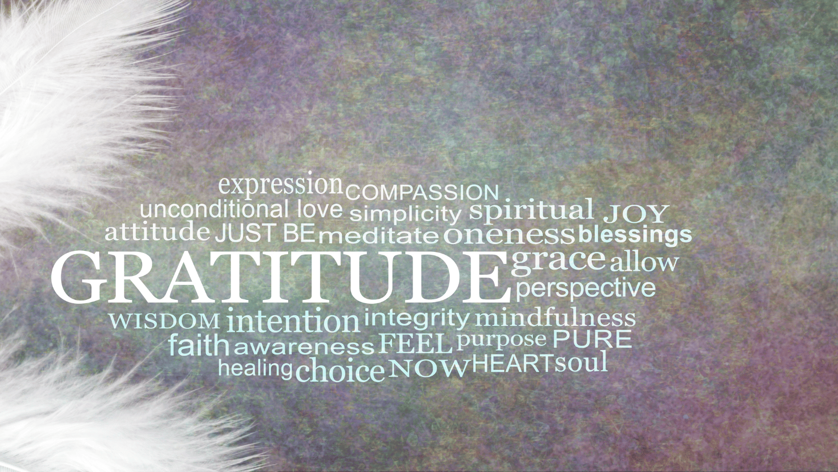 The Gratitude Issue – TeamSelfCare